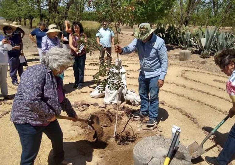 Planting a Tree, Painting a Mural – Franciscan Voice